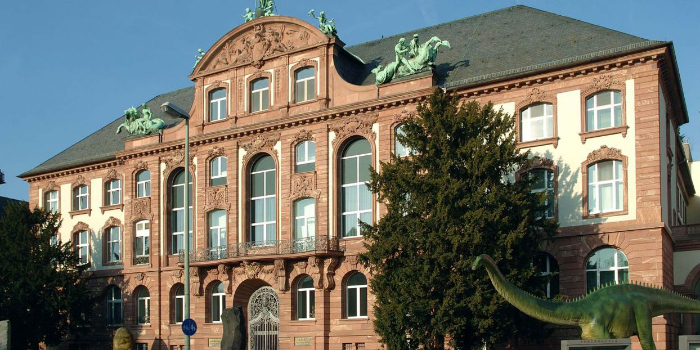 PaleoNet Positions Listings Page