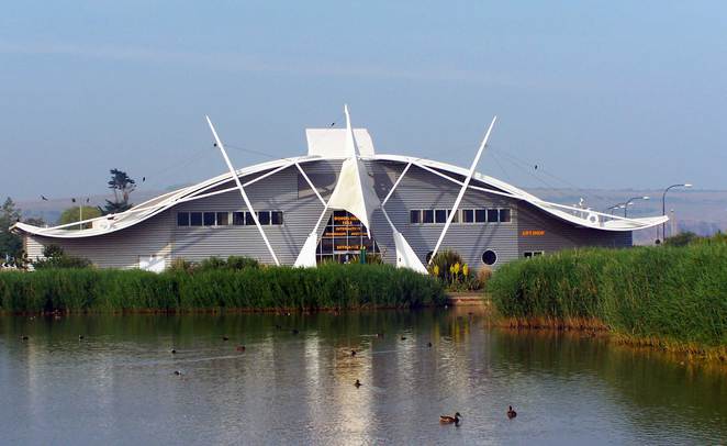 PaleoNet Positions Listings Page