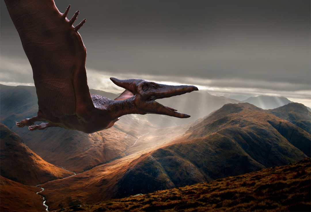 Occasional Essays | The PaleoNet Pages